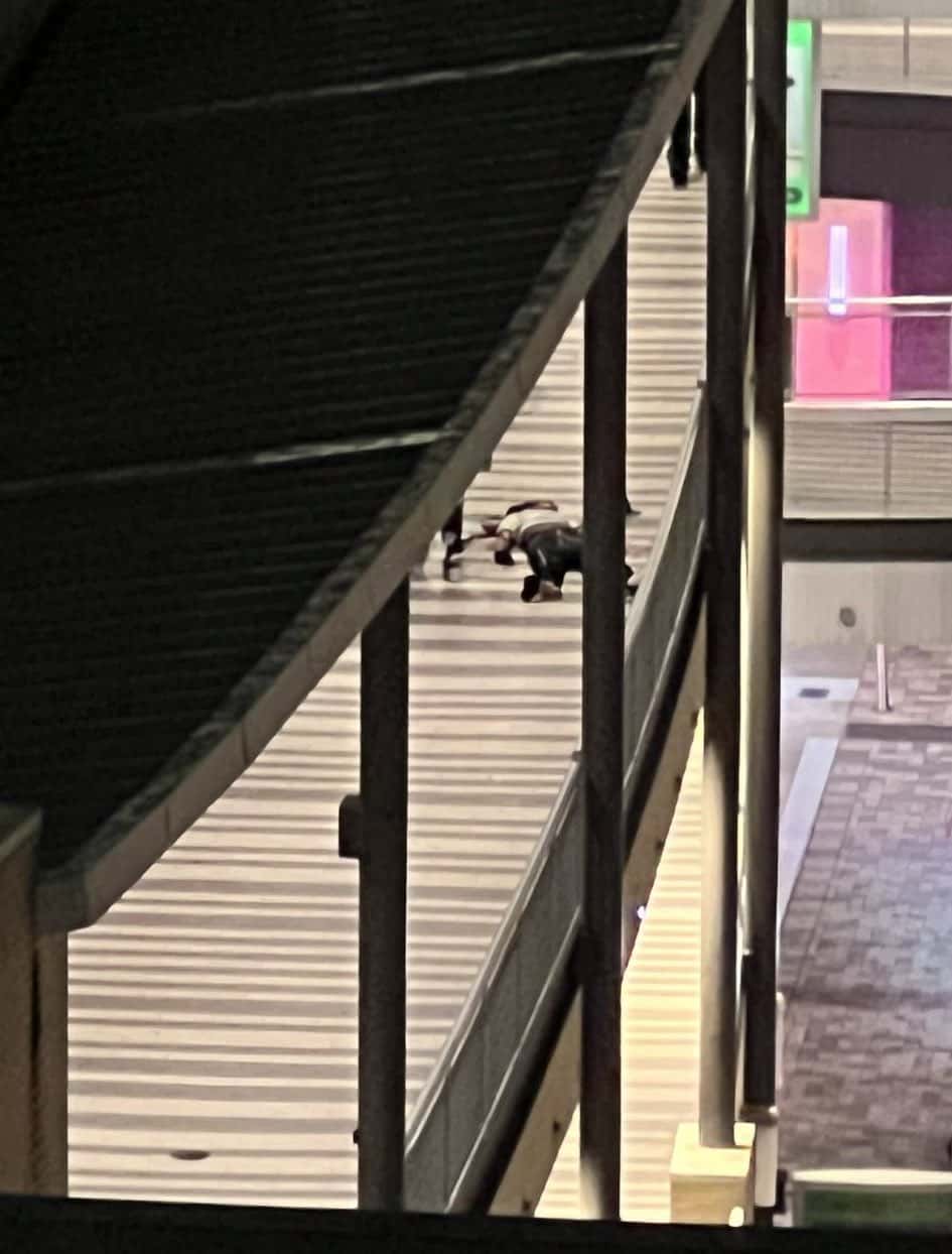 Takeoff, EX -Member Of The Famous Migos Shot Dead in Houston - Dilemaradio